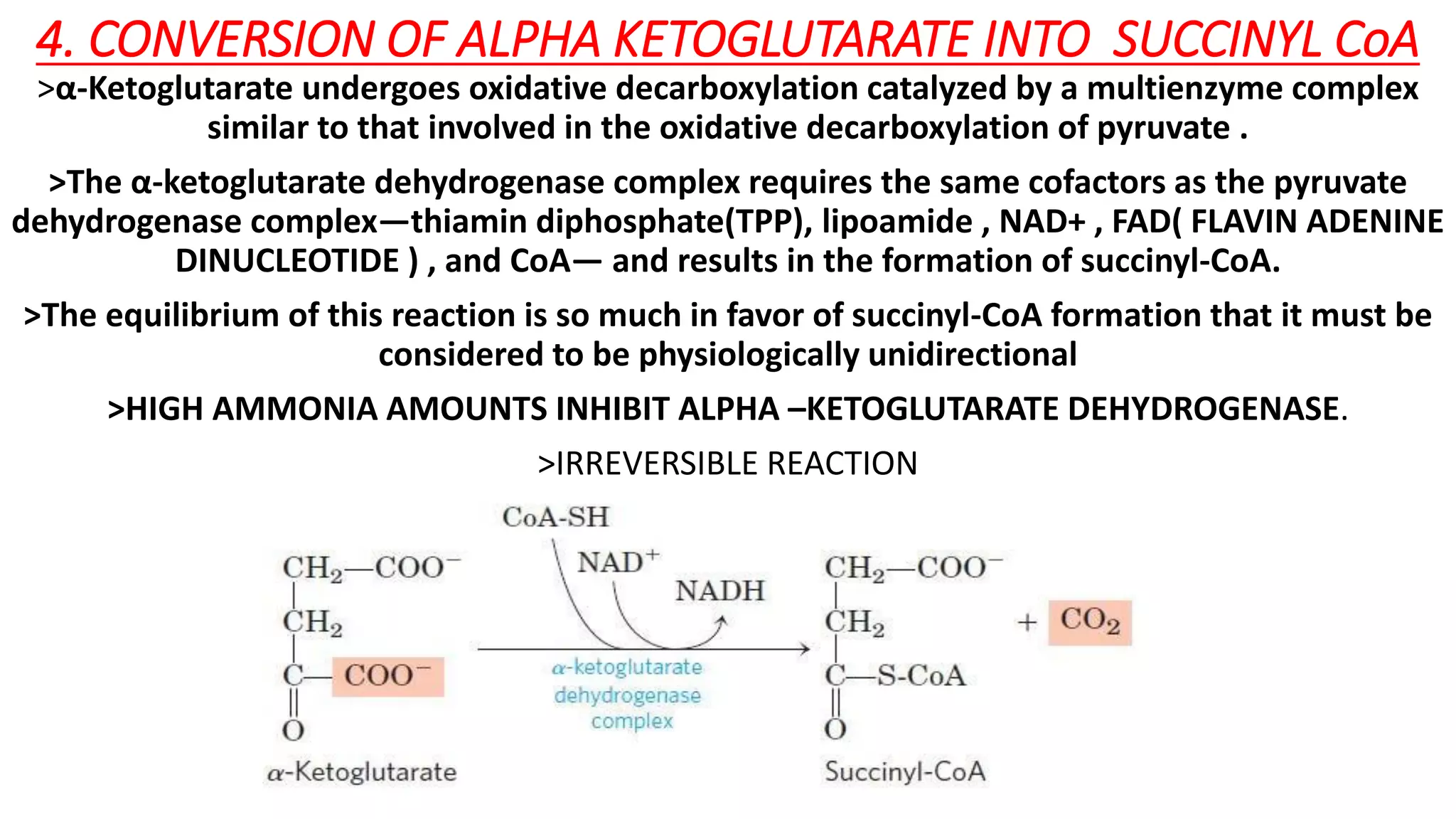 The citric acid cycle | PDF