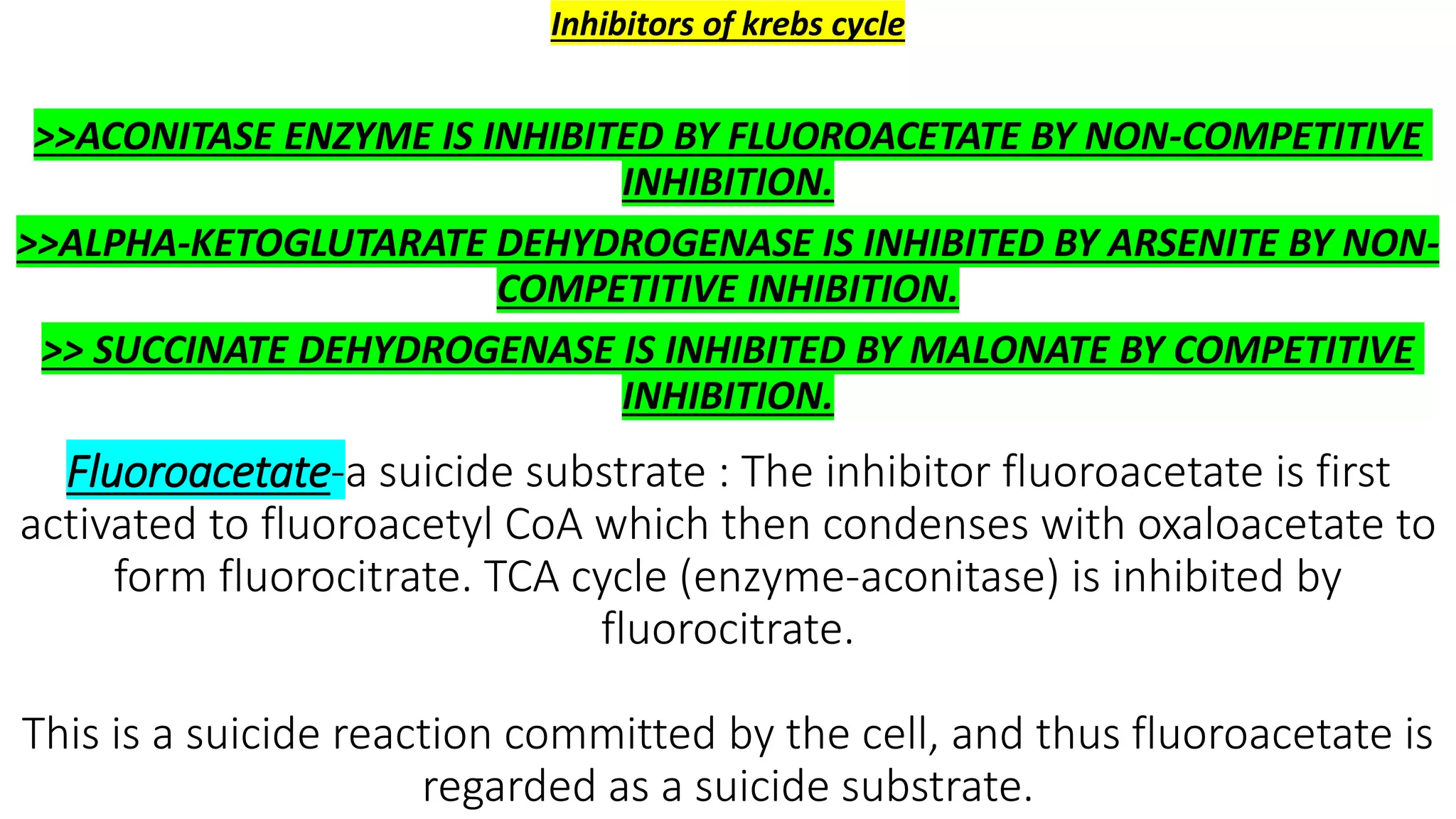 The citric acid cycle | PDF