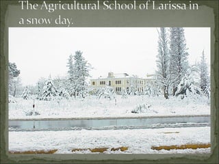 The city of larissa | PPT
