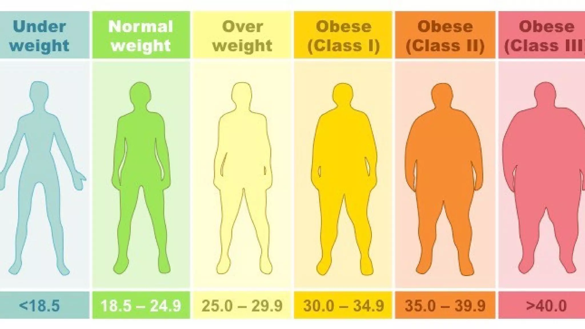 The Classification Of Obesity | PDF