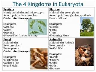 The Classification of Living Organisms.ppt