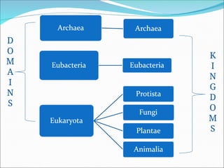 The Classification of Living Organisms.ppt