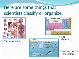 The Classification of Living Organisms.ppt