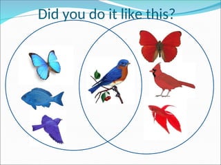 The Classification of Living Organisms.ppt