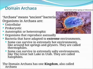 The Classification of Living organisms.ppt