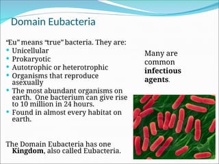 The Classification of Living organisms.ppt