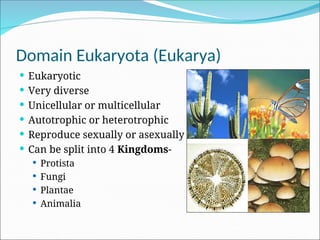 The Classification of Living organisms.ppt