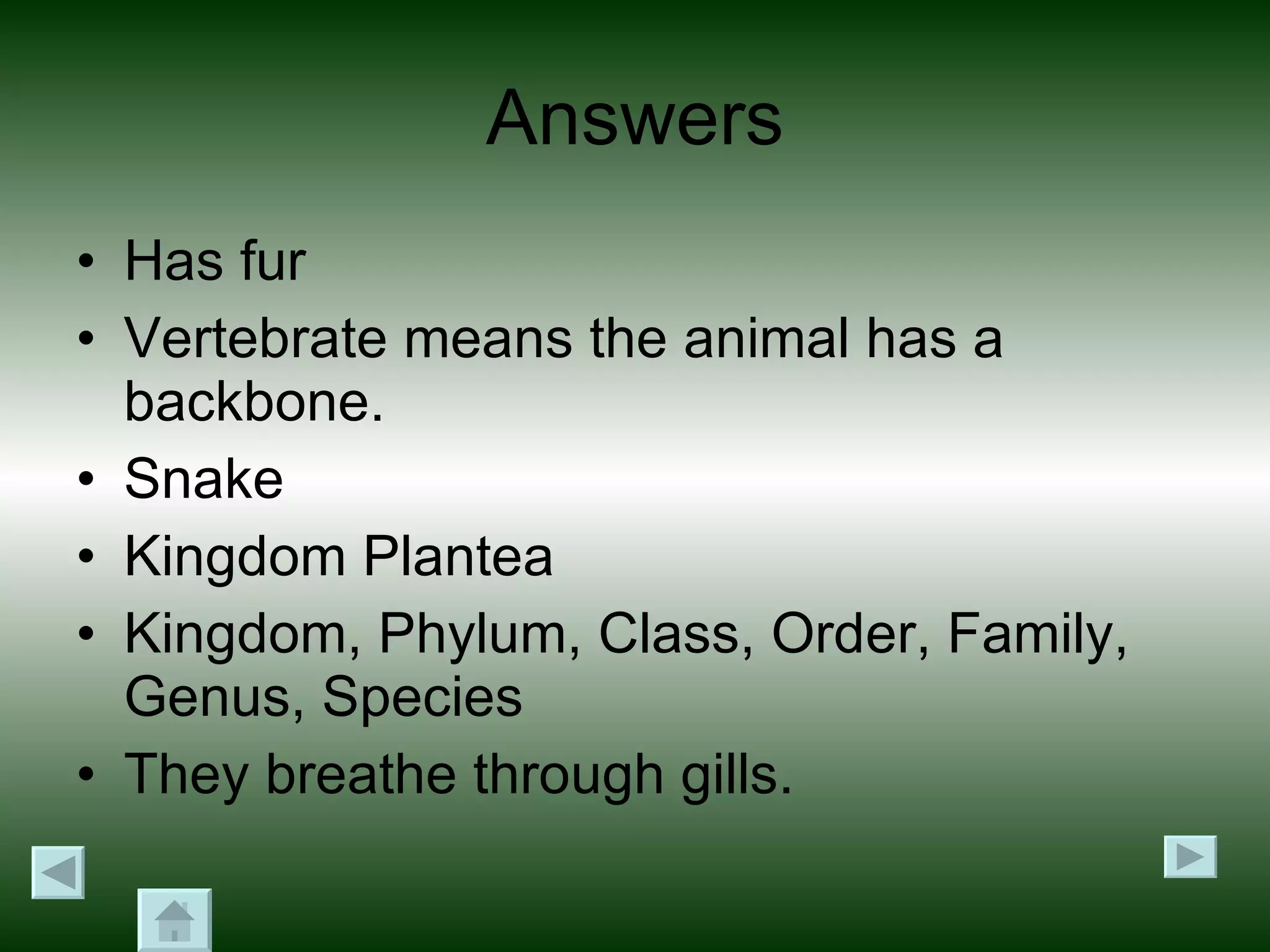 The Classification Of Living Organisms Ed205 | PPT