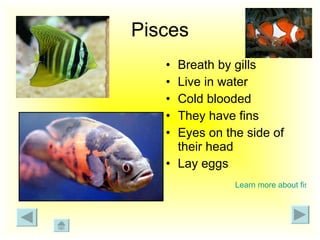 The Classification Of Living Organisms Ed205 | PPT