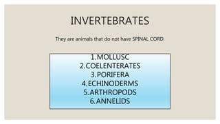 The classification of living things | PPT