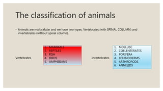 The classification of living things | PPT