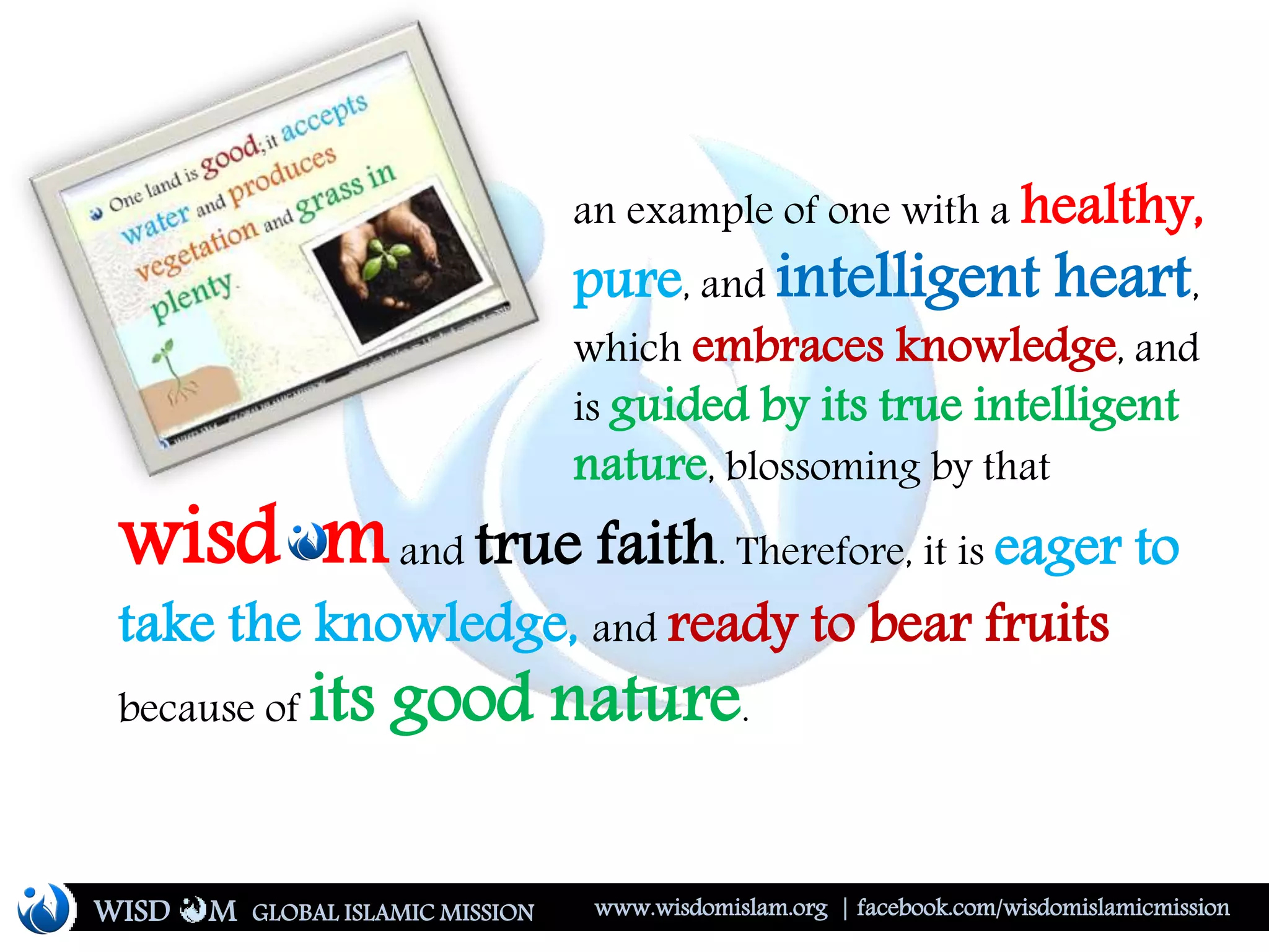 Wisdom PPT-The classification of people according to the guidance | PPT