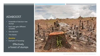 The Class Imbalance Problem: AdaBoost to the Rescue? | PPT