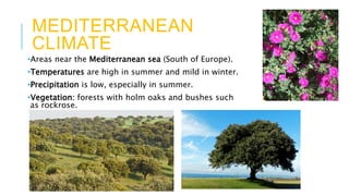 The climates and vegetation of Europe, María López-Pardo | PPTX ...