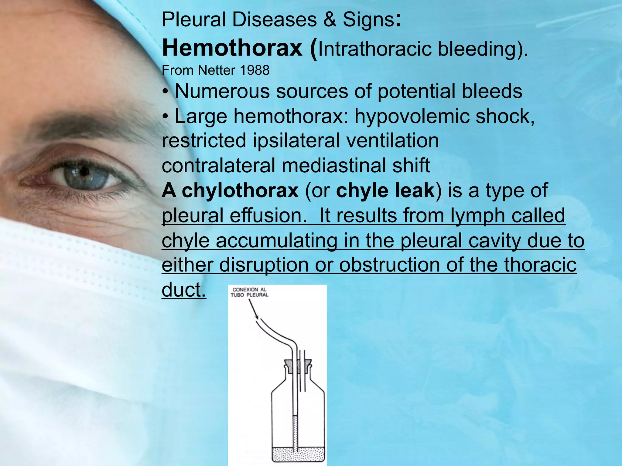 The clinical Anatomy of the Thorax. eng.pdf
