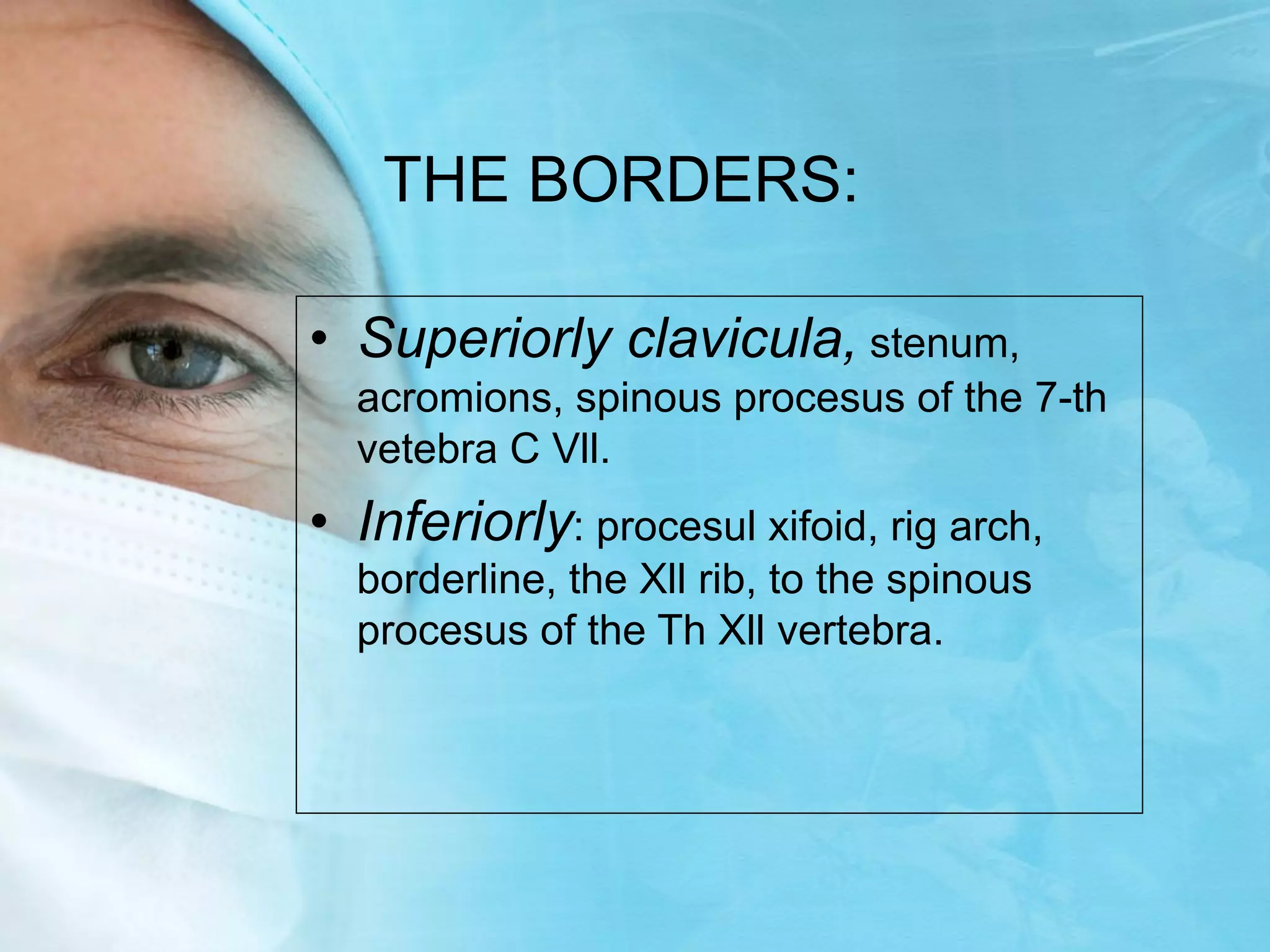 The clinical Anatomy of the Thorax. eng.pdf