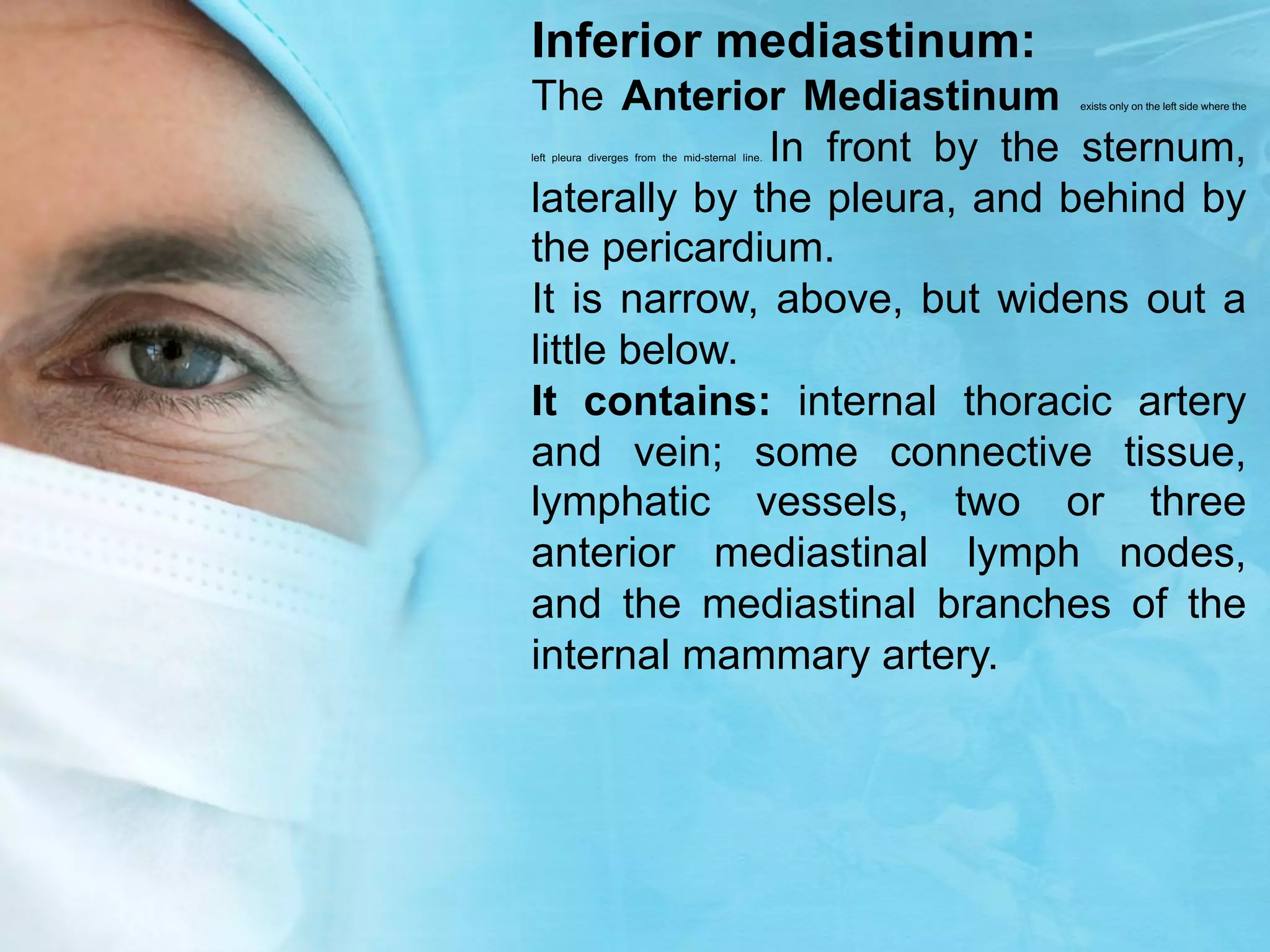The clinical Anatomy of the Thorax. eng.pdf