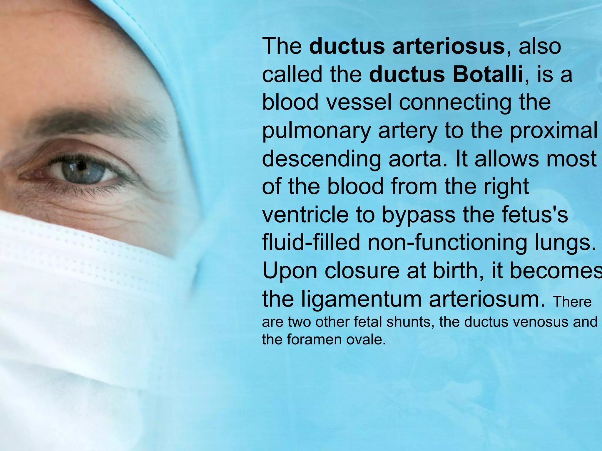 The clinical Anatomy of the Thorax. eng.pdf