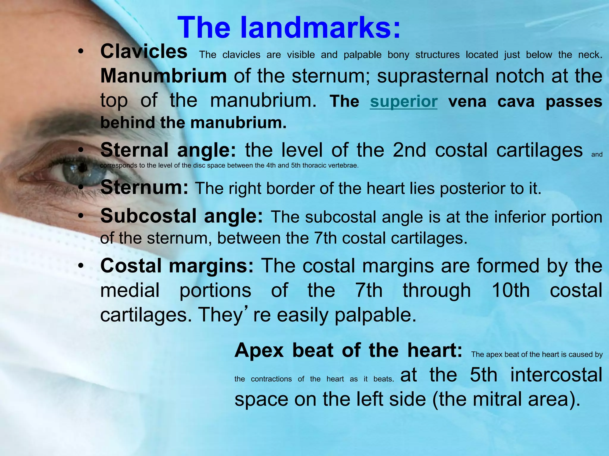 The clinical Anatomy of the Thorax. eng.pdf