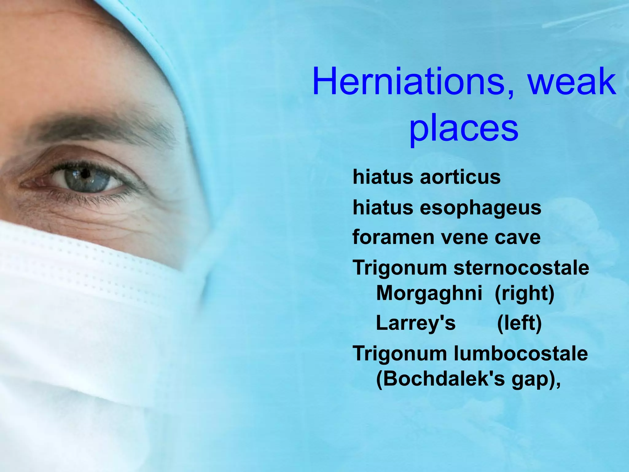 The clinical Anatomy of the Thorax. eng.pdf