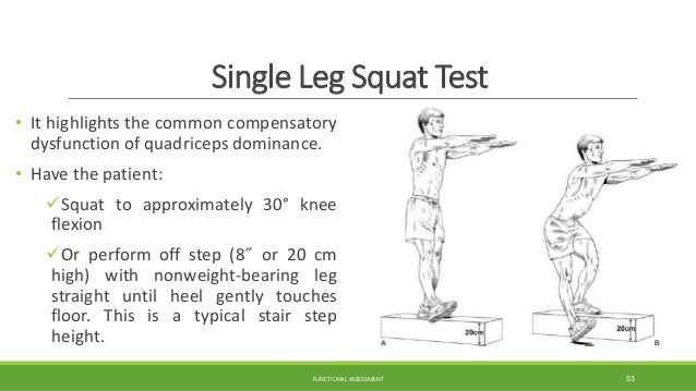 Single Leg Squat Assessment