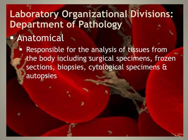 The clinical laboratory | PPTX | Blood Disorders | Diseases and Conditions