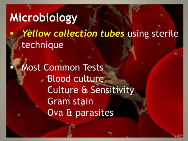 The clinical laboratory | PPTX | Blood Disorders | Diseases and Conditions