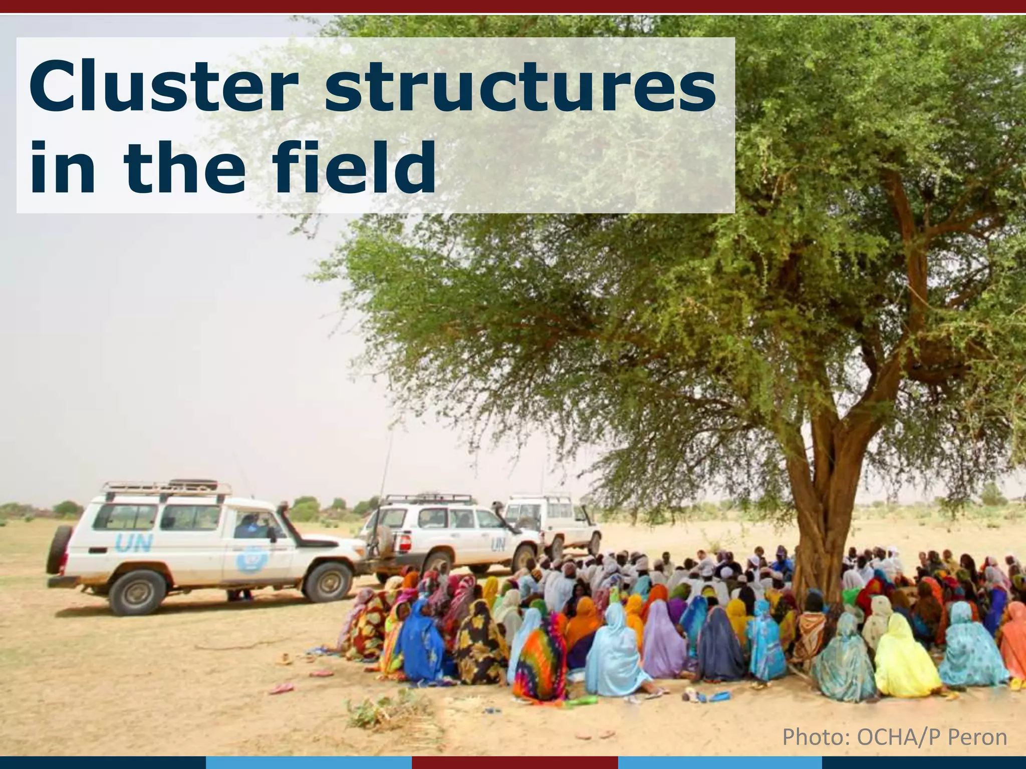 The Cluster Approach Presentation.ppt