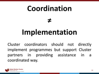 The Cluster Approach Presentation.ppt