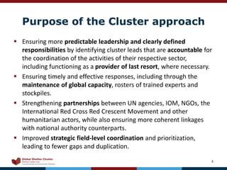 The Cluster Approach Presentation.ppt