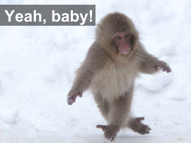 monkey business coaching process | PPT