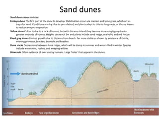 The coasts igcse | PPTX