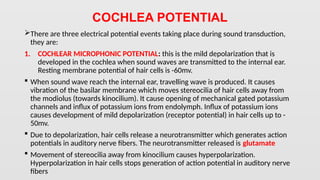THE COCHLEA a part of the olfactory senses | PPTX
