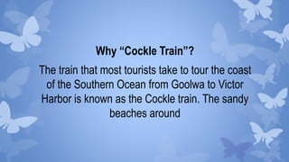 The Cockle Train Starts the Tour from the Goolwa Station with Surf ...