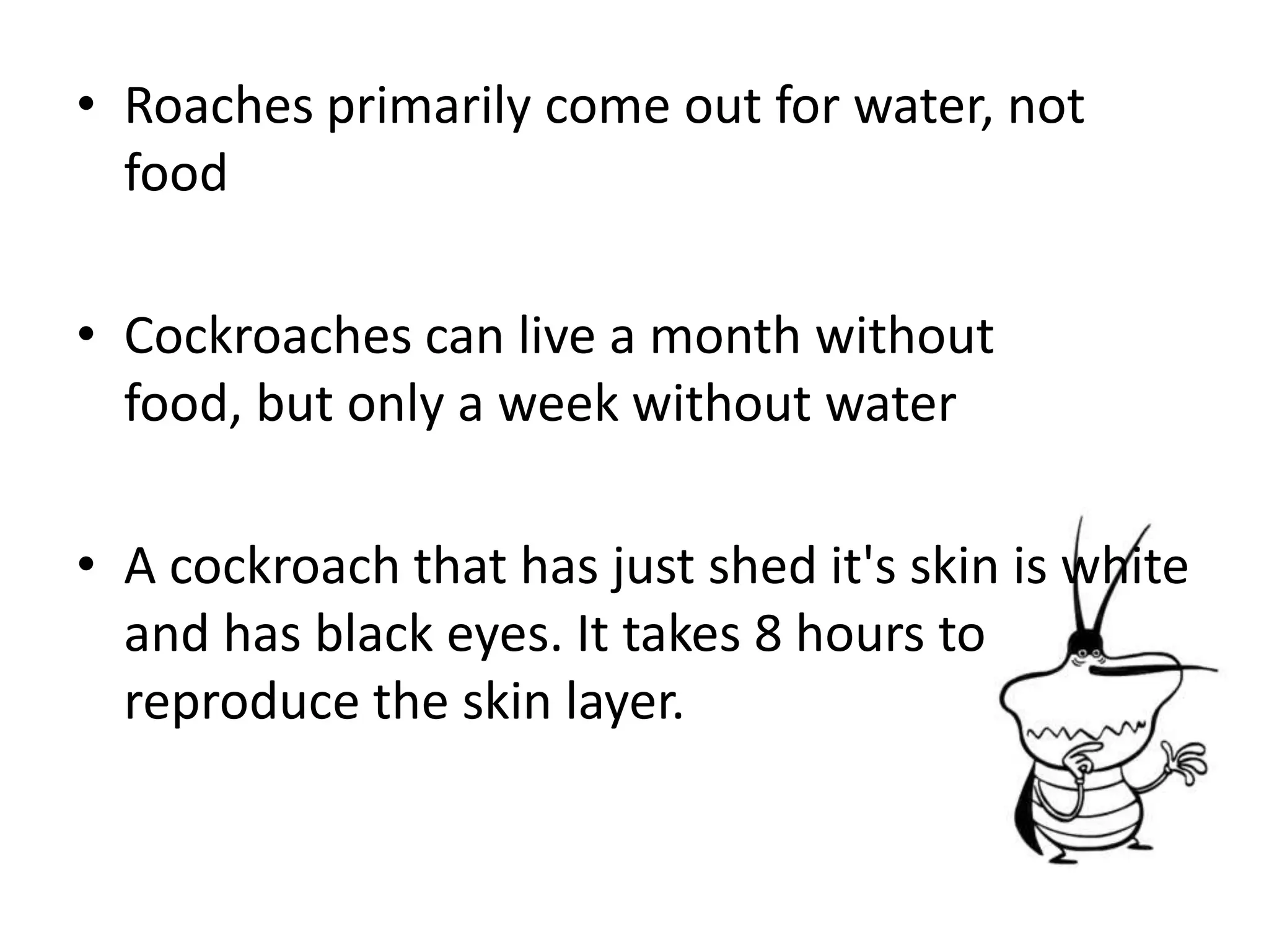 The cockroach | PPTX