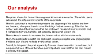 The cockroach presentation | PDF
