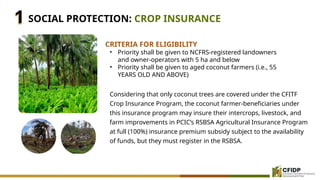 The Philippines Coconut Farmers Industry Plan.pptx