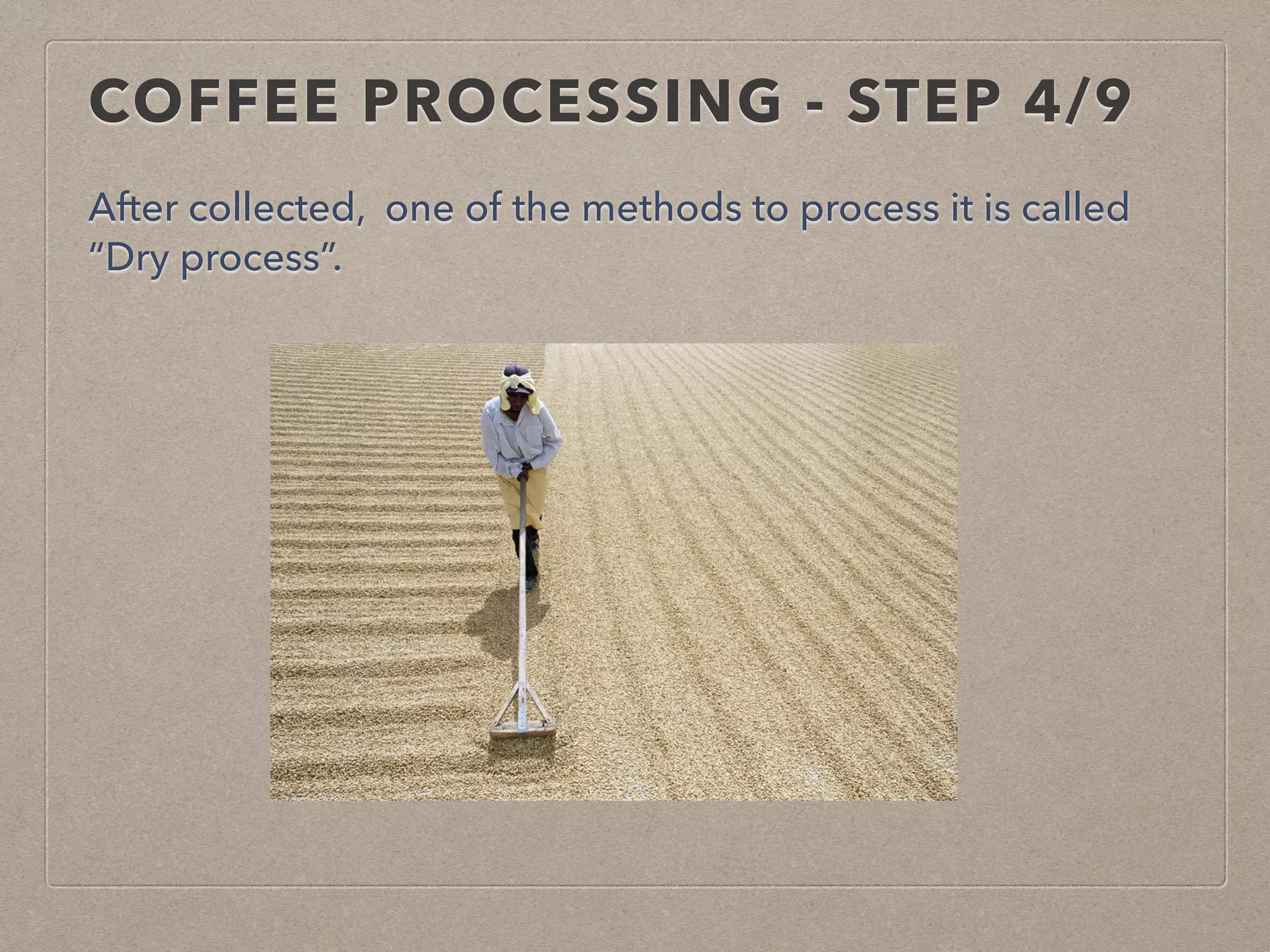 The coffee industry | PDF