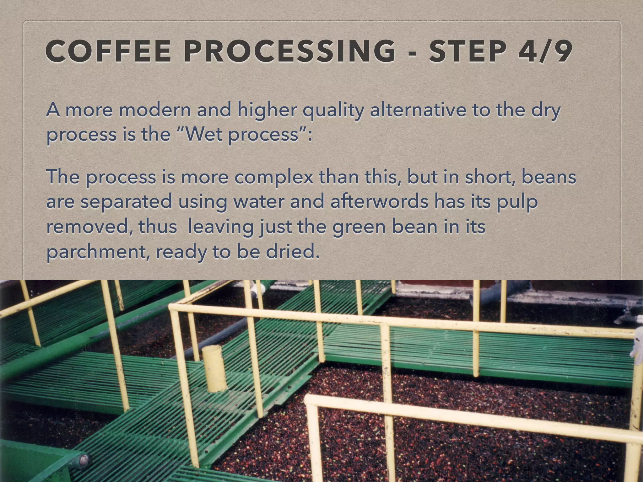 The coffee industry | PDF