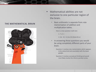 The Cognitive Science of Mathematics | PPTX | Brain and Nervous System ...