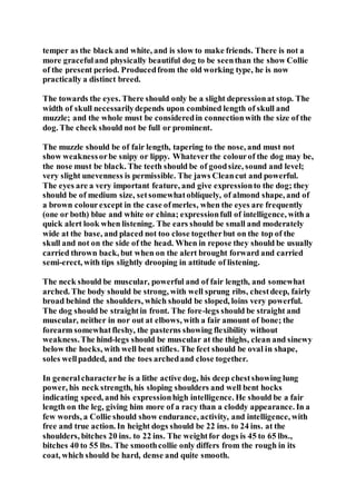 The collie dog | PDF