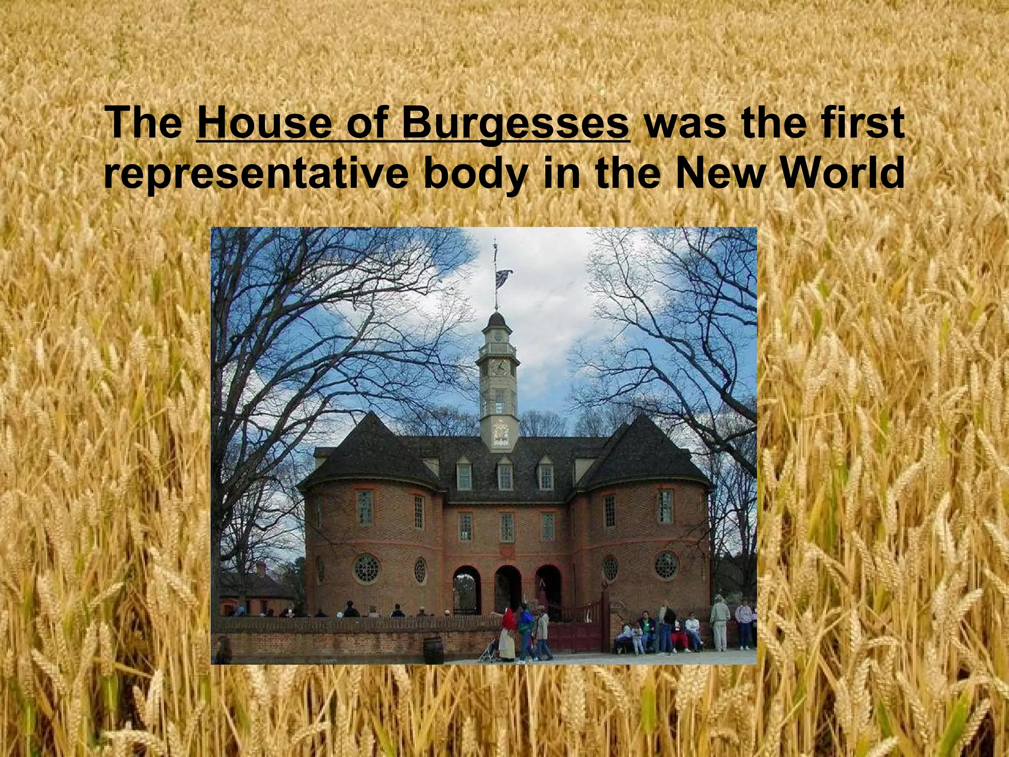 The colonial experience | PPT