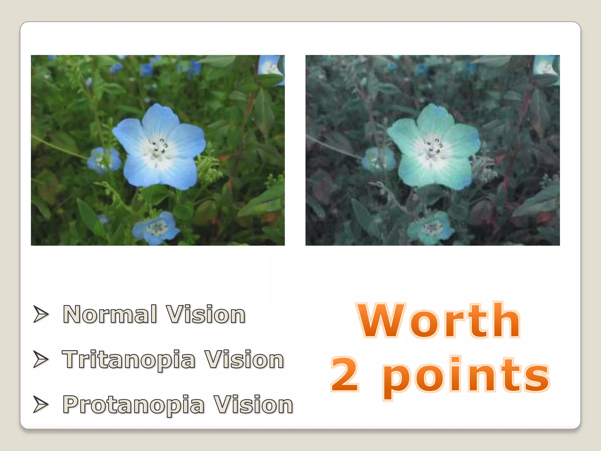 The color blind game.pdf