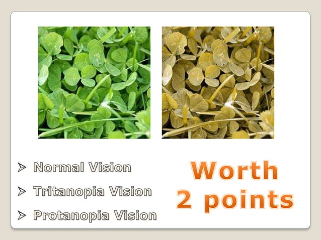 The color blind game.pdf