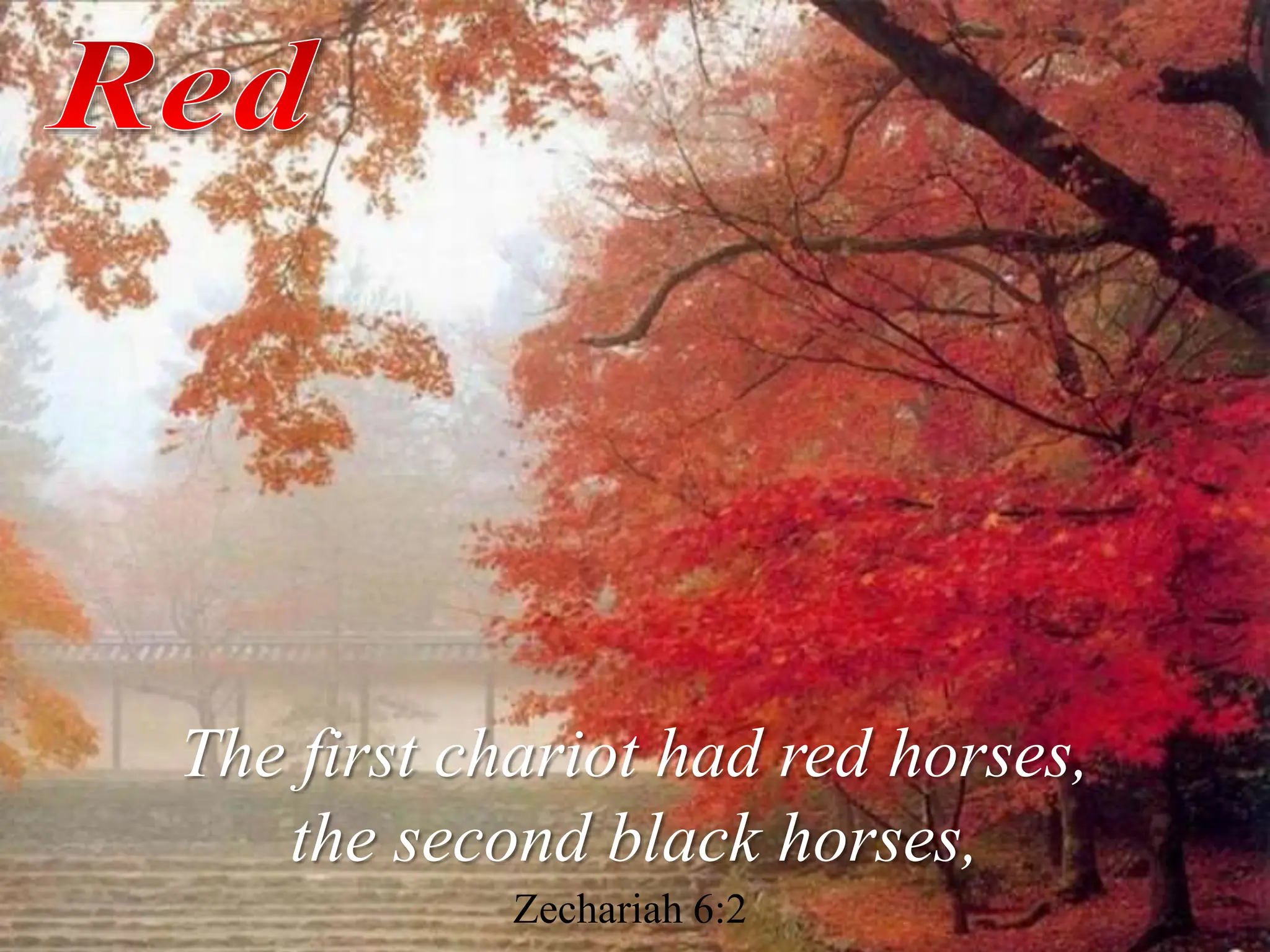 The Color of Life Slideshow by: Kal-el Go | PPT