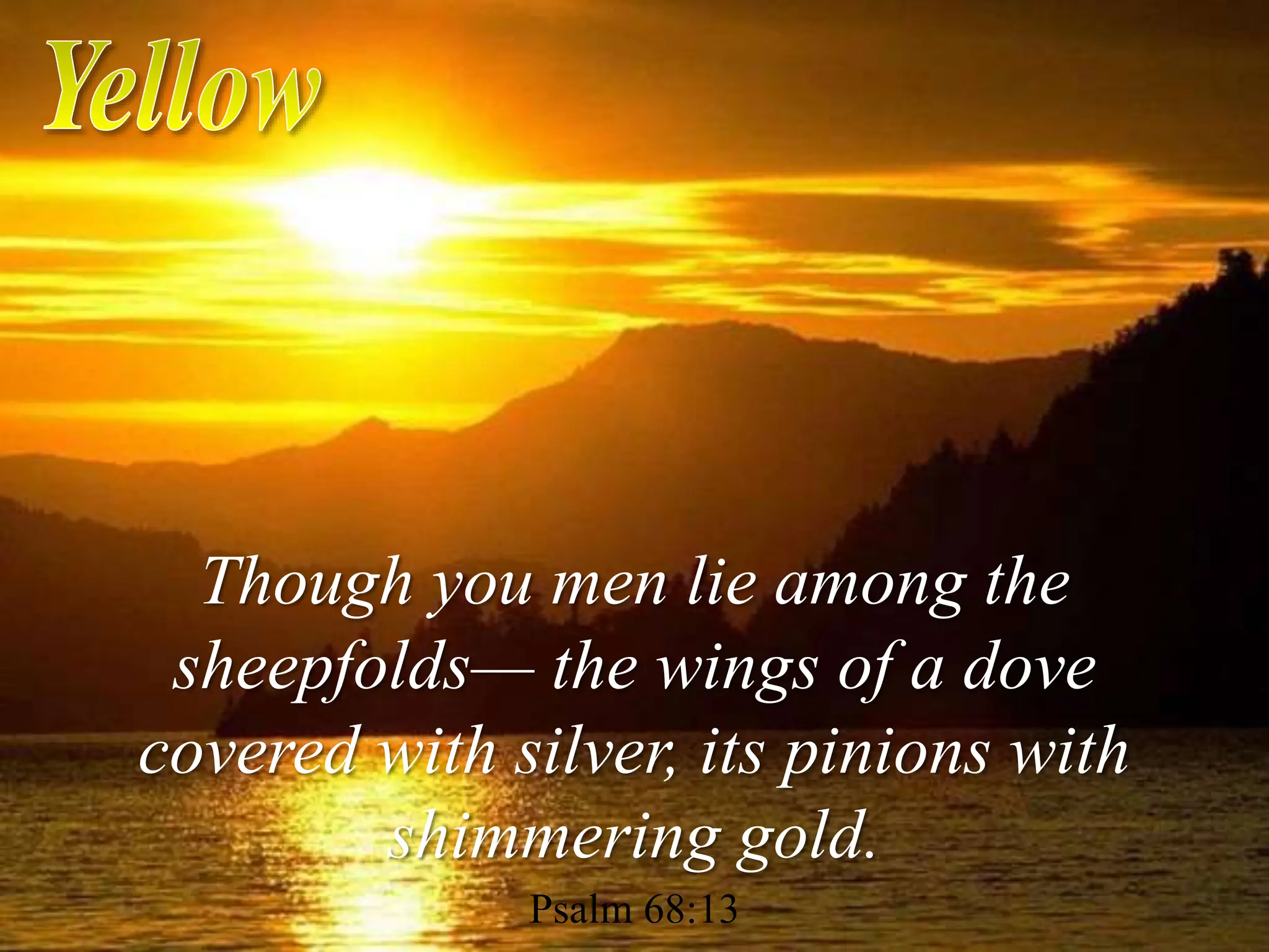 The Color of Life Slideshow by: Kal-el Go | PPT