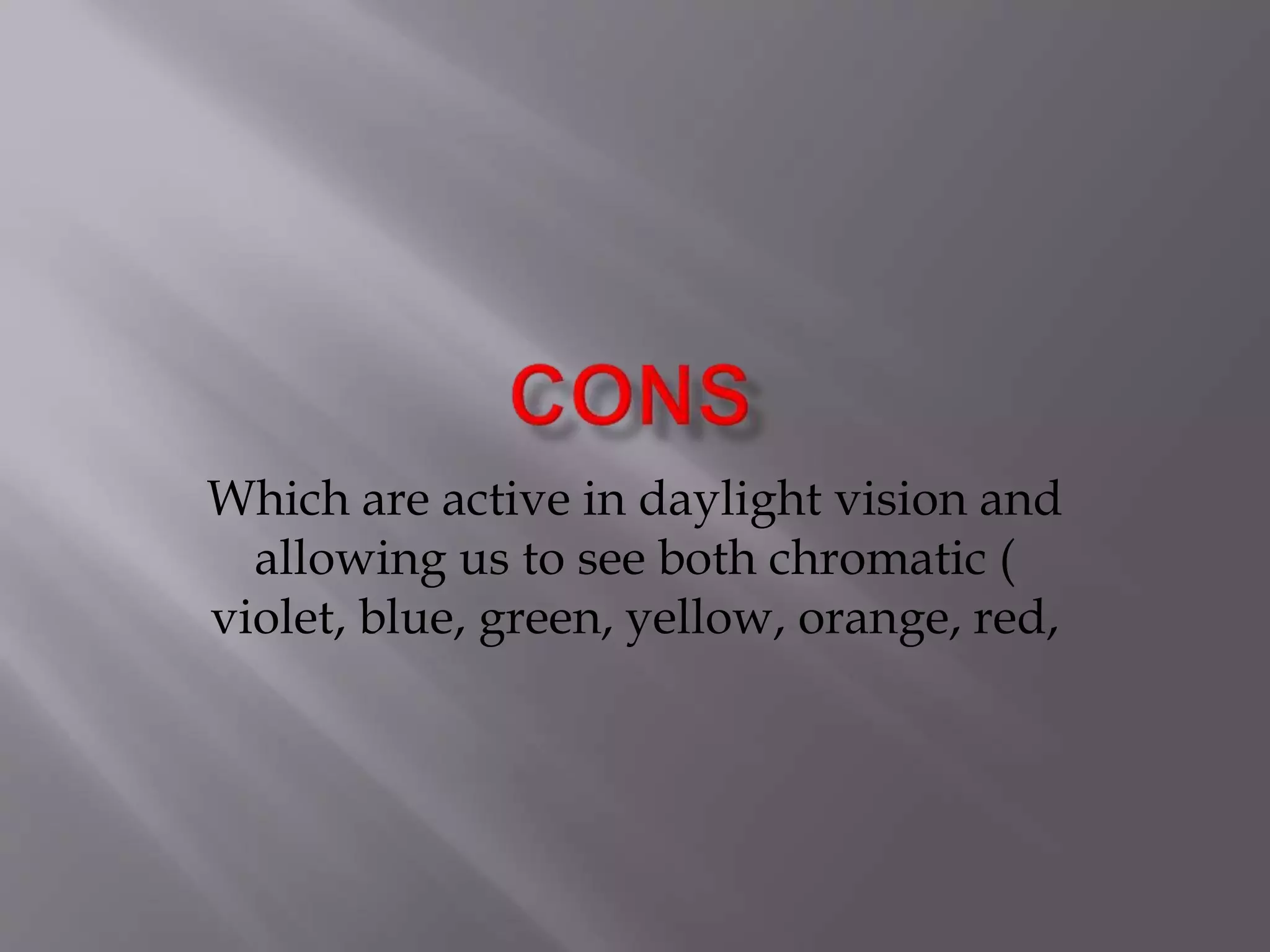 The color of object | PPT