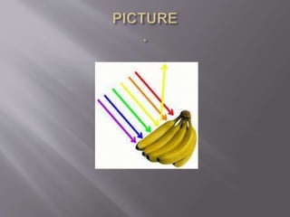 The color of object | PPT