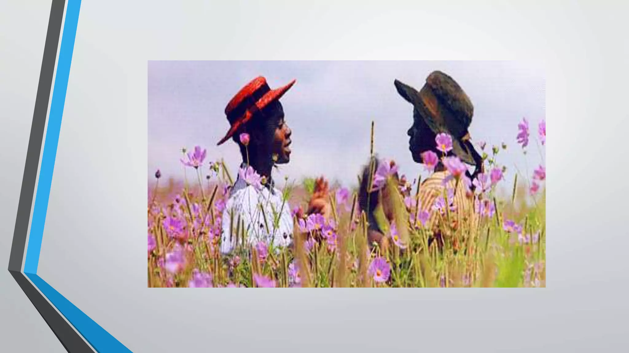 Movie and Book - The Color Purple | PPT