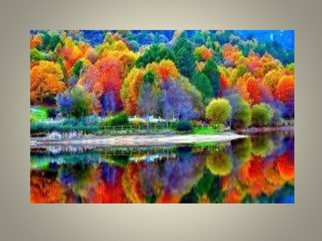 The colors around us | PPTX